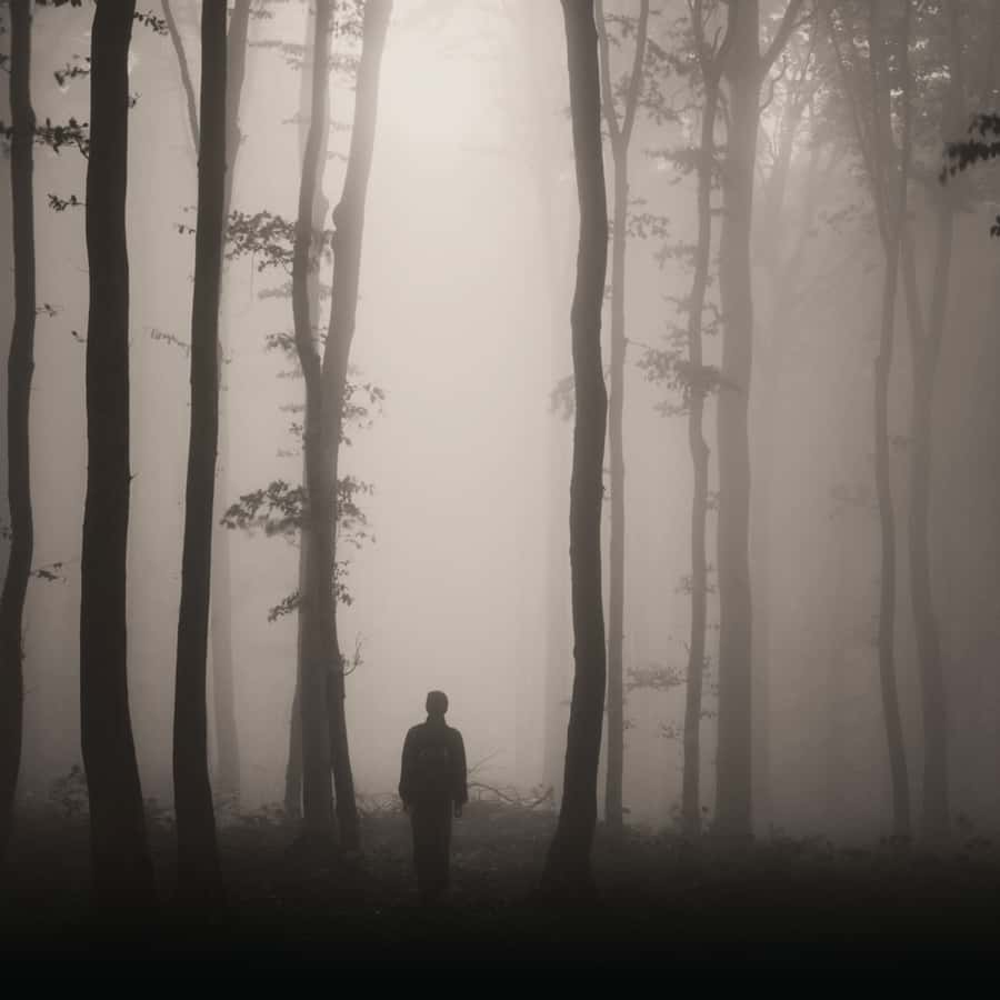 Gettysburg: Ghost Hunt Tour with Ghost Hunting Equipment | GetYourGuide