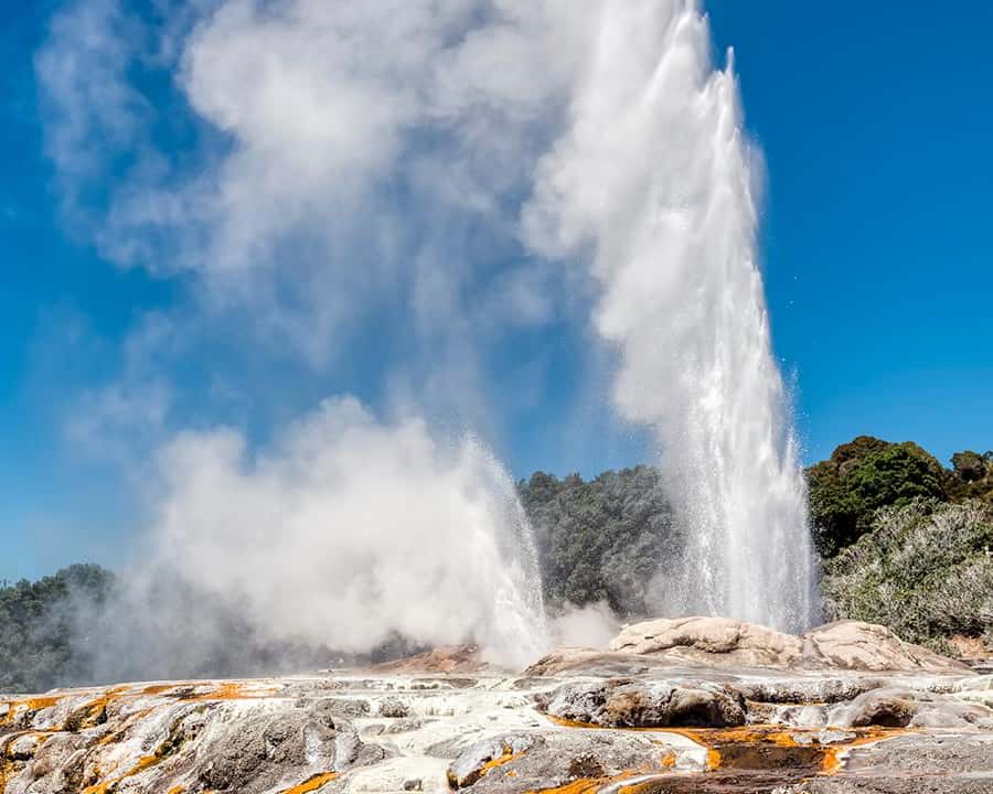 Auckland to Rotorua via Hobbiton One Way Small Group Tour | GetYourGuide