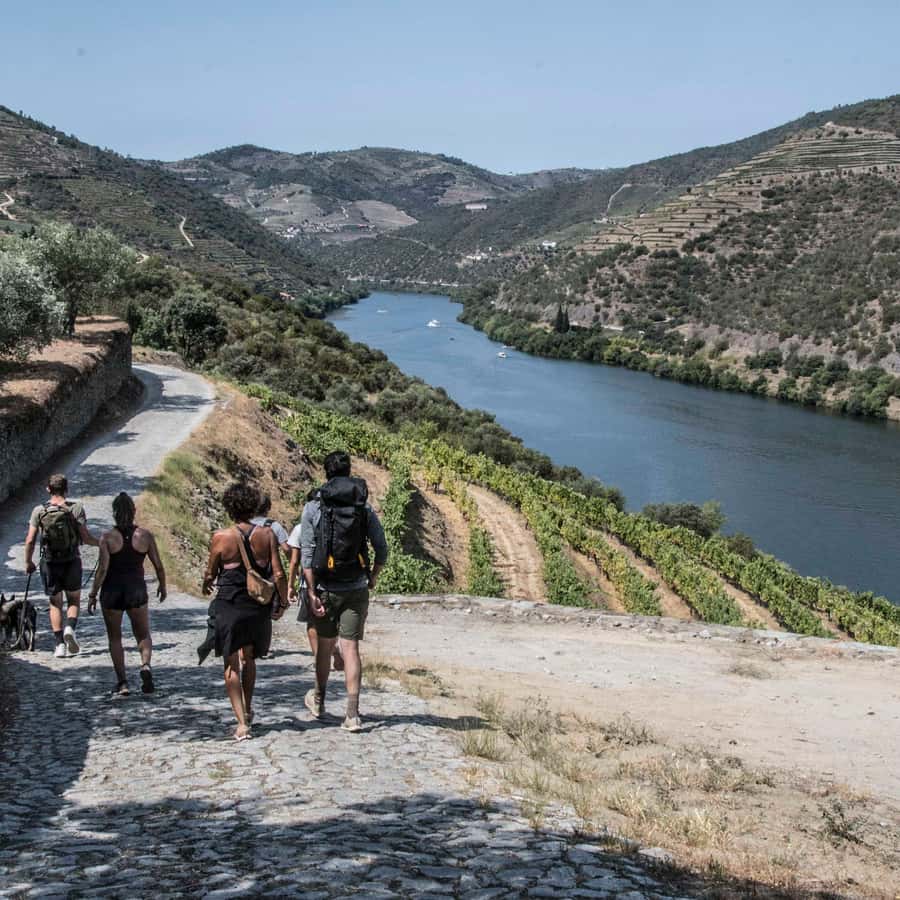 Pinhão: Douro Valley Guided Hike | GetYourGuide