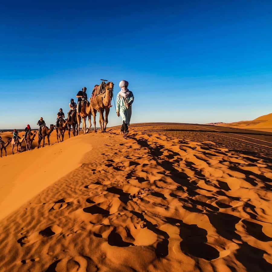 Doha: Desert Safari, Dune Bashing, Sandboarding, Camel Ride | GetYourGuide