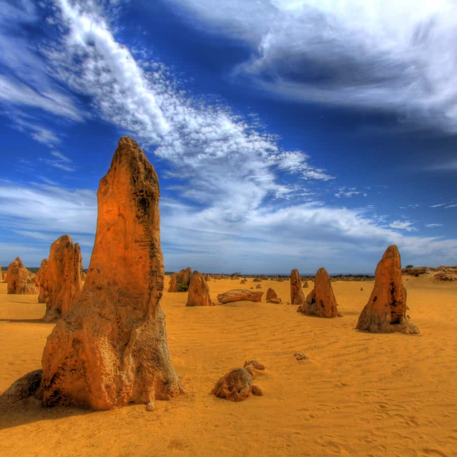 From Perth: Pinnacles Desert, Yanchep & Swan Valley Day Tour | GetYourGuide