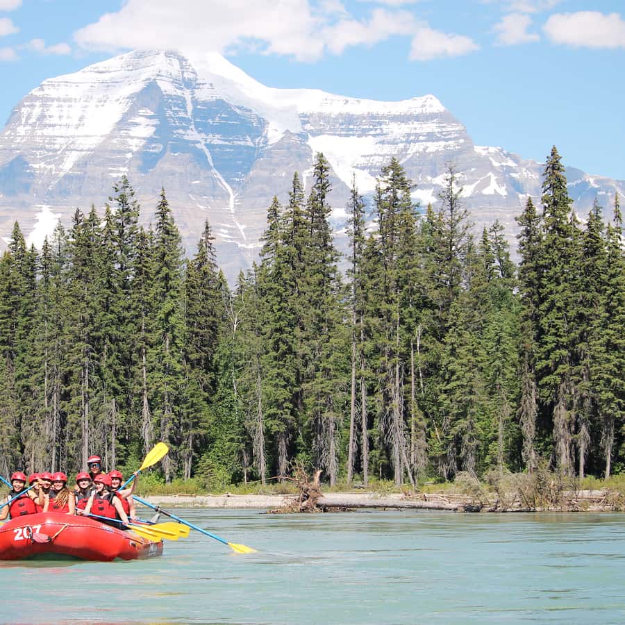 5-Hour Fraser River Rafting in Jasper National Park | GetYourGuide