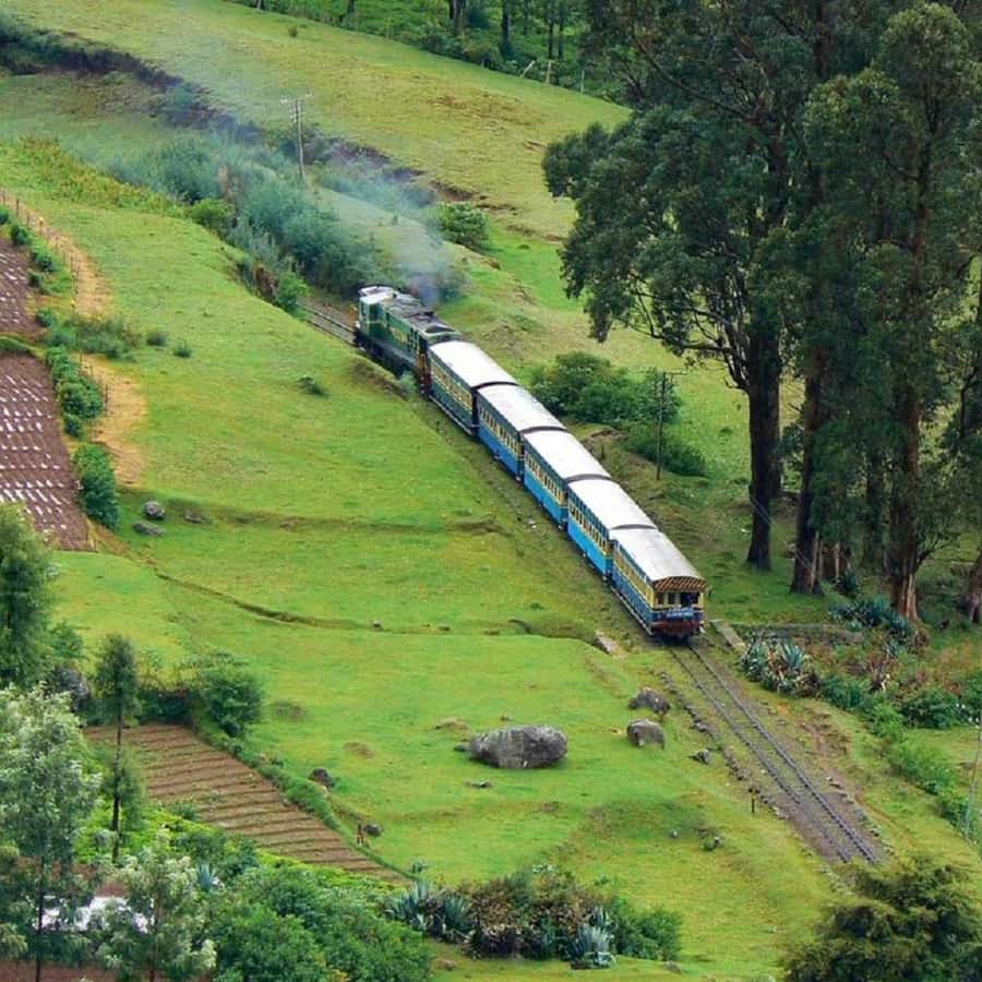 5 Nights / 6 Days Munnar & Ooty Bike Ride Tour | GetYourGuide