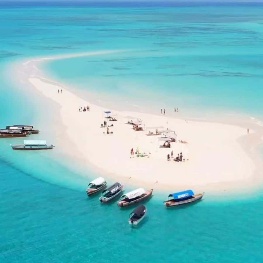 ZANZIBAR: Pungume Island Snorkeling & Sandbank+BBQ | GetYourGuide