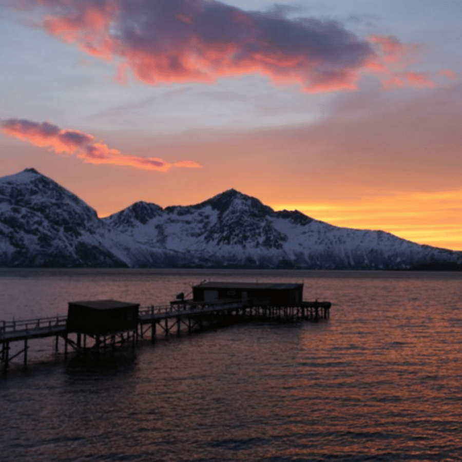 Tromso: Fjord Arctic Adventure Expedition | GetYourGuide
