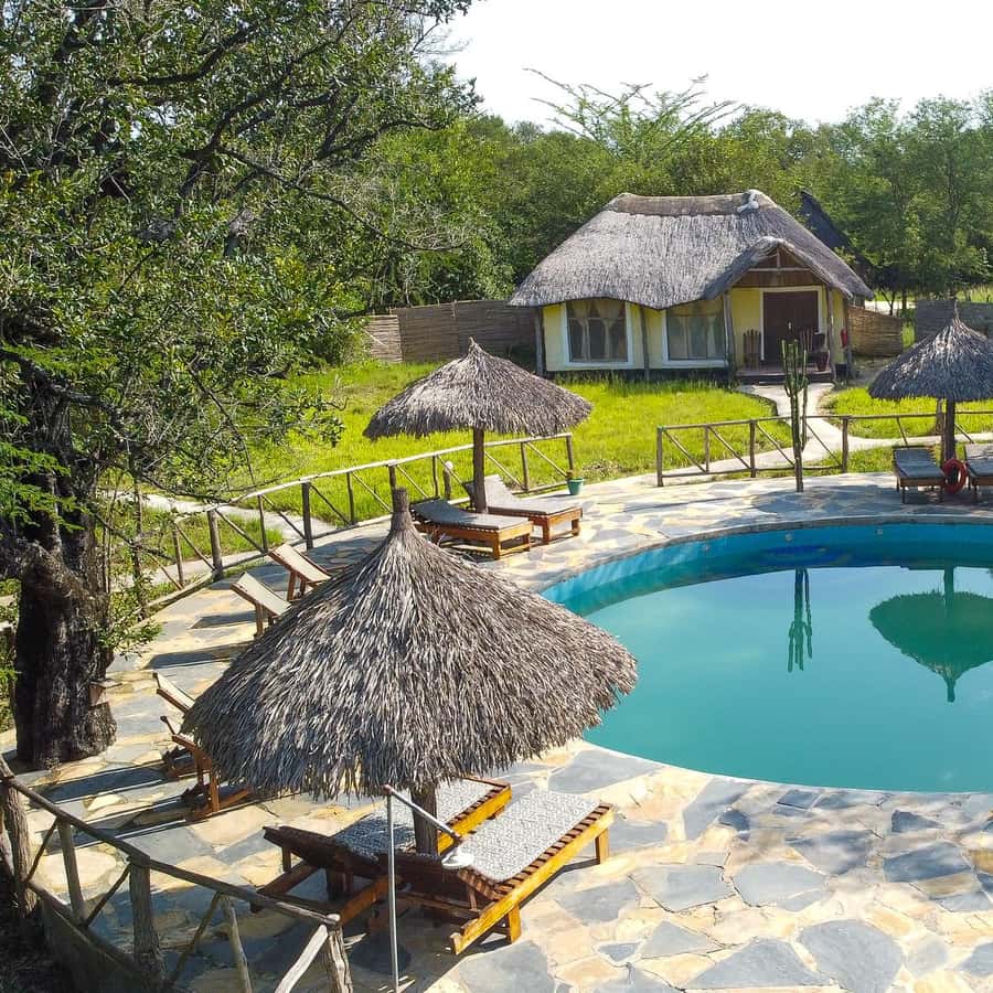 From Zanzibar: 3-Day Selous Safari Trip with Ferry Transfer | GetYourGuide