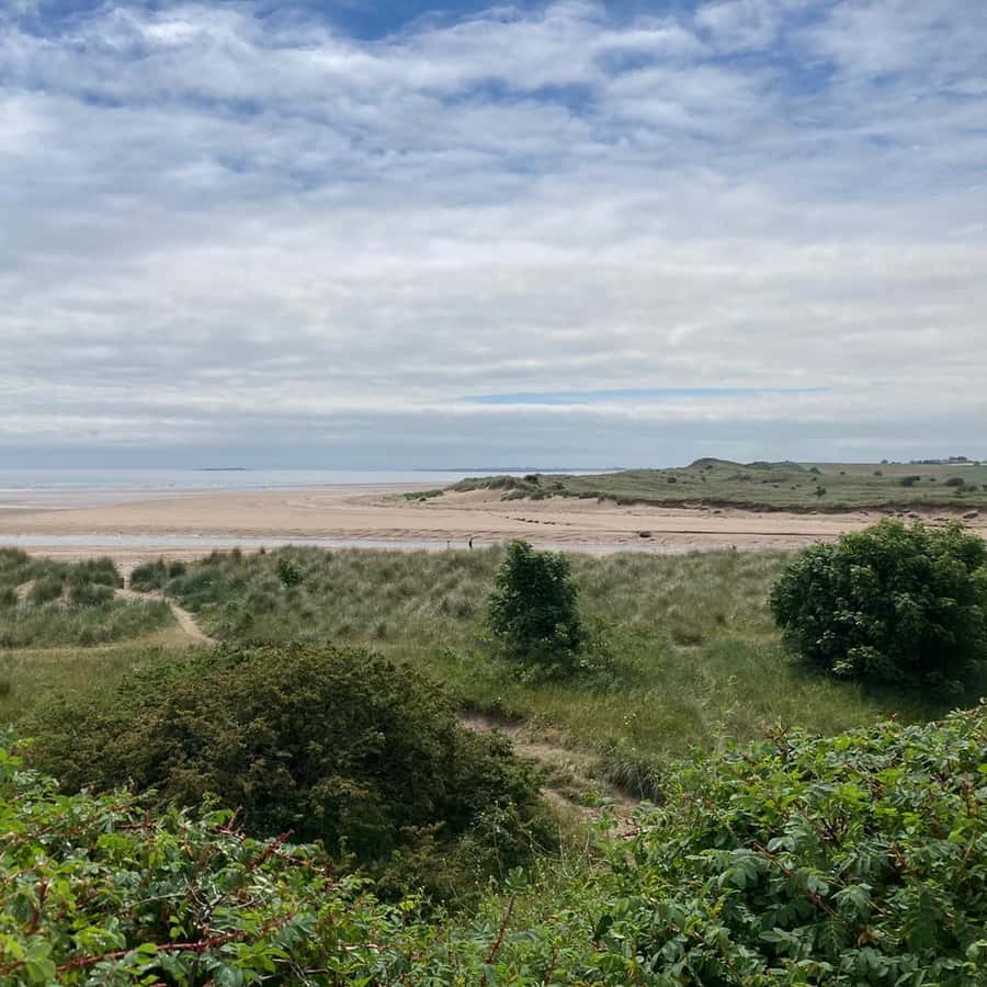 Northumberland: Full-Day Tour of Vera Filming Locations | GetYourGuide