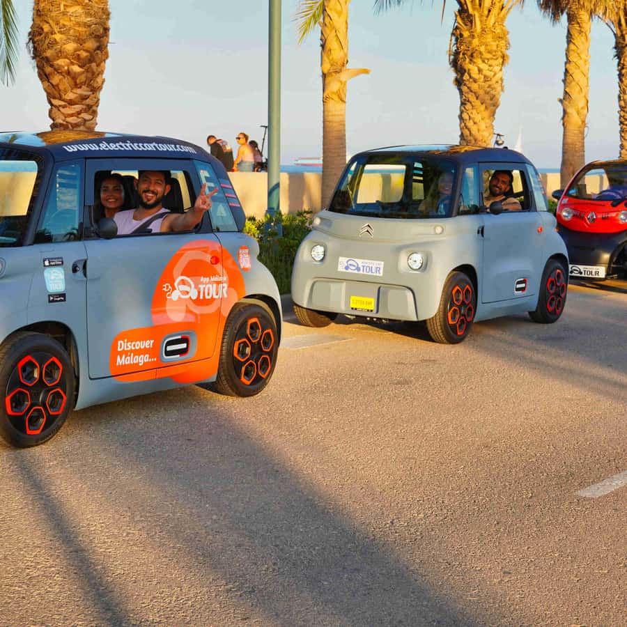 Cruise Terminal Pickup: Málaga in 2 Hours by Electric Car | GetYourGuide