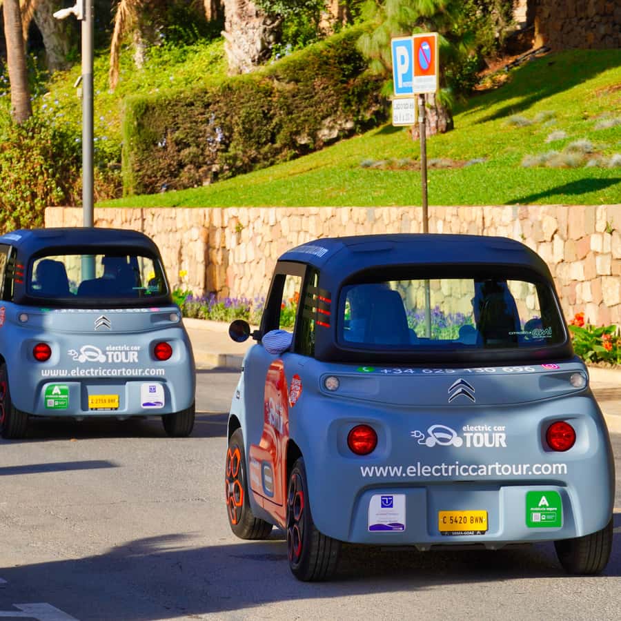 Cruise Terminal Pickup: Málaga in 2 Hours by Electric Car | GetYourGuide