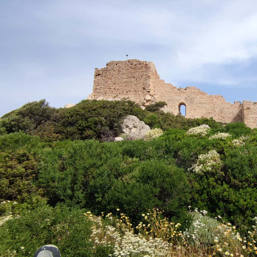 Rhodes: Kamiros, Embona, Mt. Profitis Ilias & Kallithea Tour | GetYourGuide