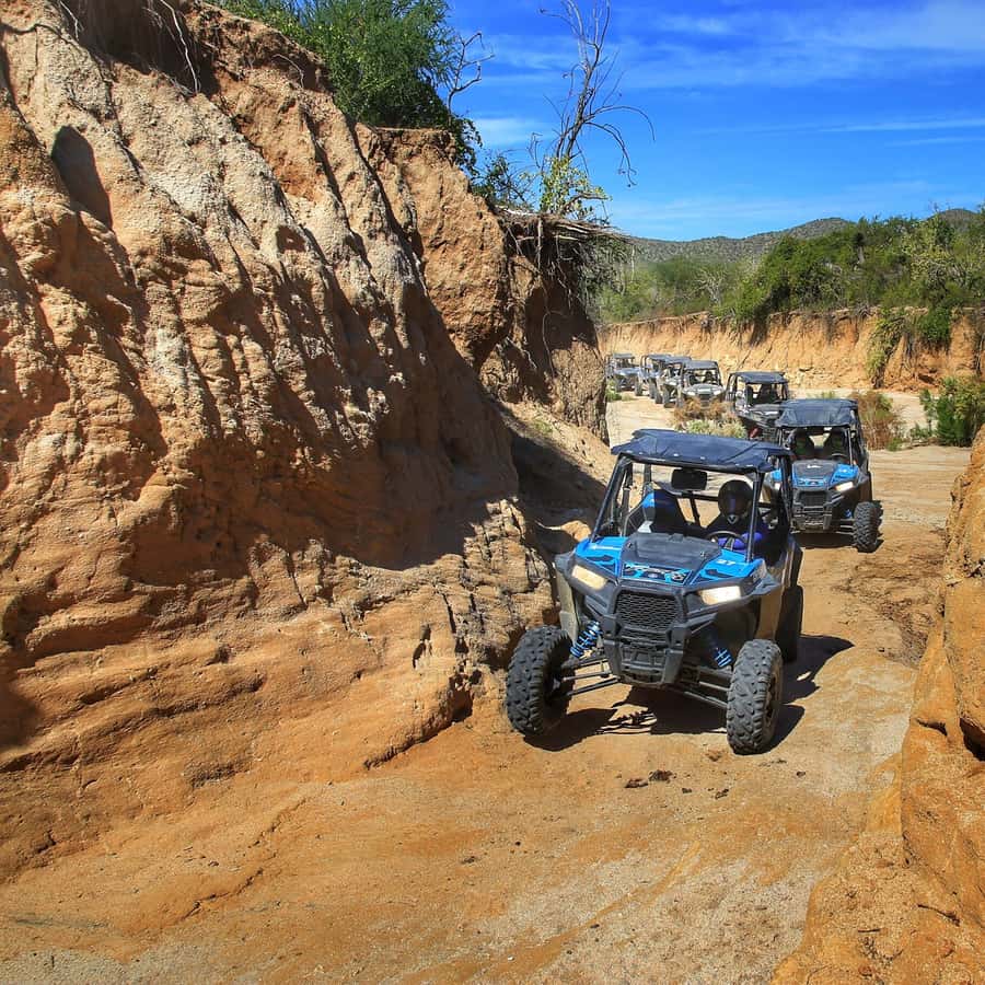 Cabo: UTV Off-Roading, Mexican Lunch, and Tequila | GetYourGuide