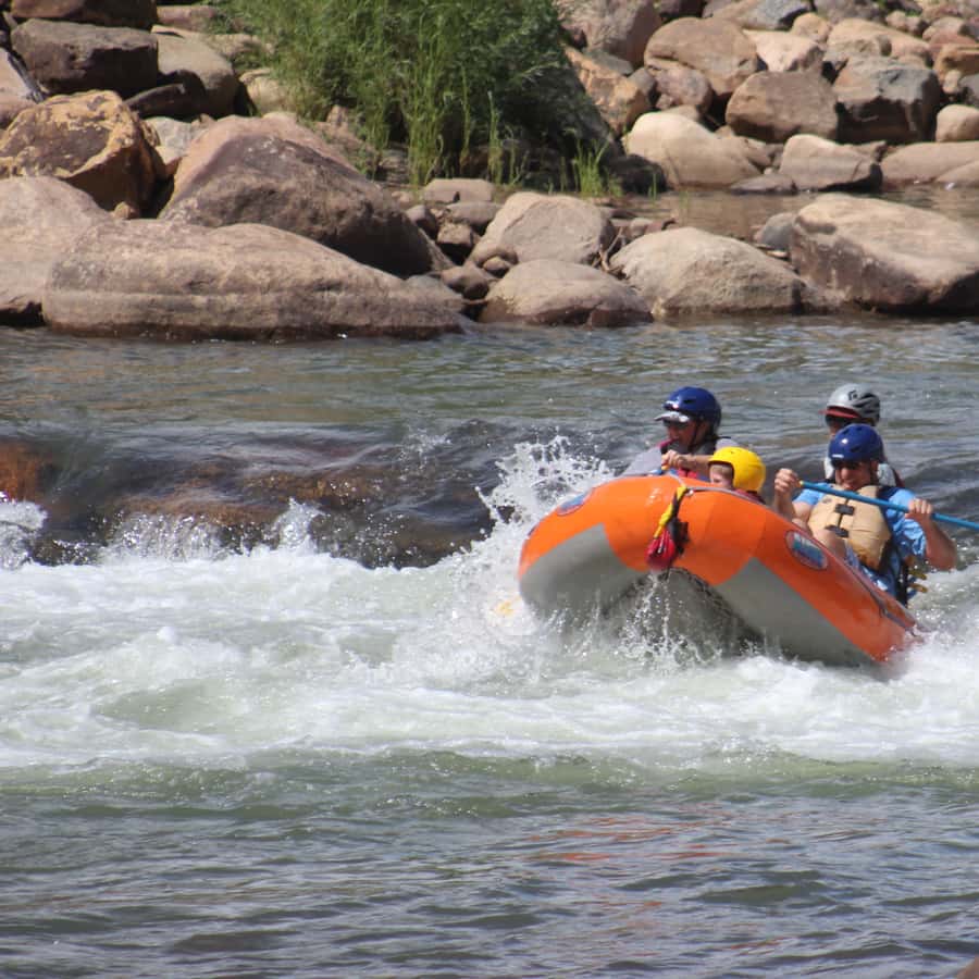 From Durango: Animas River Whitewater Rafting | GetYourGuide