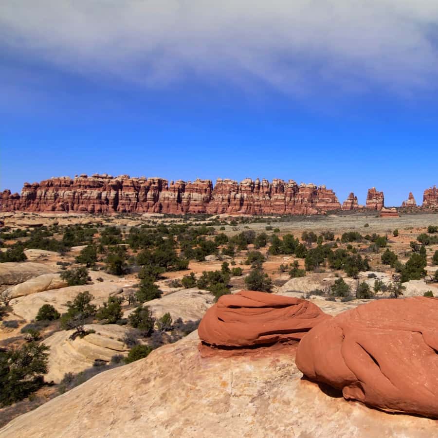 From Moab: Canyonlands Needle District 4x4 Tour | GetYourGuide