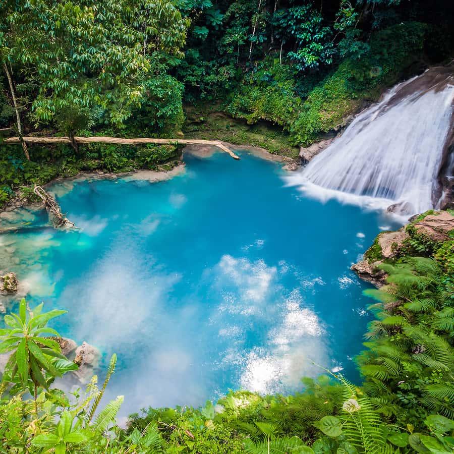 Ocho Rios: Blue Hole, Dunn's River & Reggae Hill Geführte Tour ...