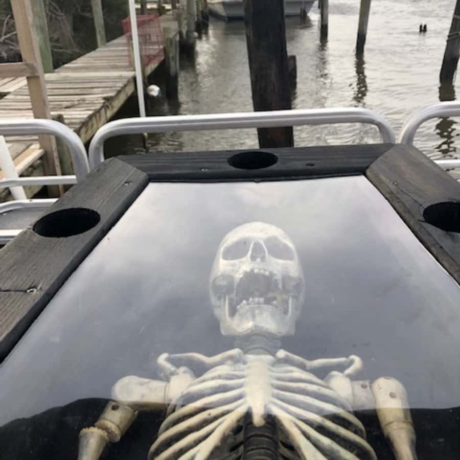 Bay Saint Louis, MS: The Haunted Bayou Cruise | GetYourGuide