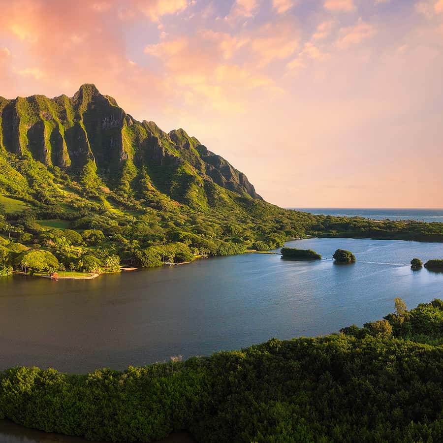 Oahu: Kualoa Movie Sites, Jungle, and Buffet Tour Package | GetYourGuide