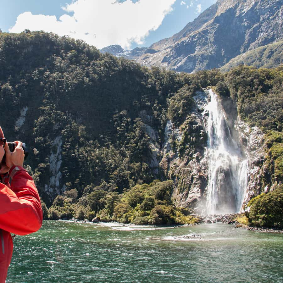 Milford Track: Full Day Guided Hike and Nature Cruise | GetYourGuide