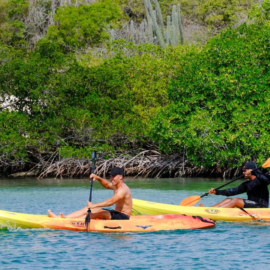 2-Hour Kayak Tour in Curacao | GetYourGuide