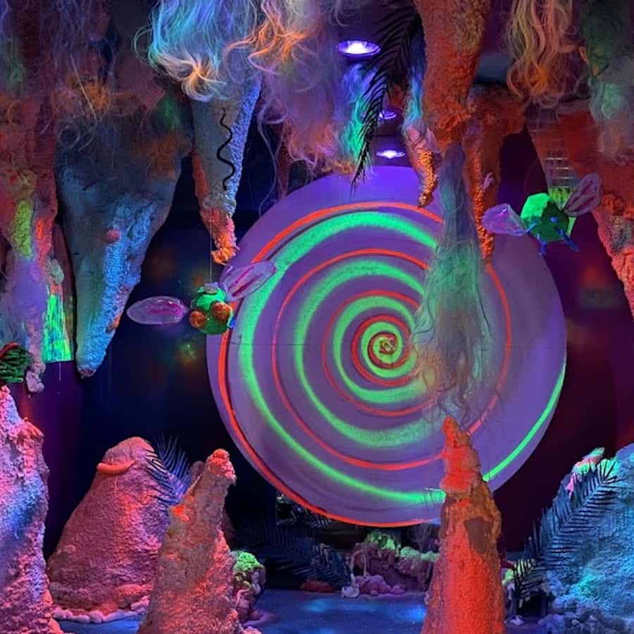 NYC: Sloomoo Institute Entry Ticket | GetYourGuide