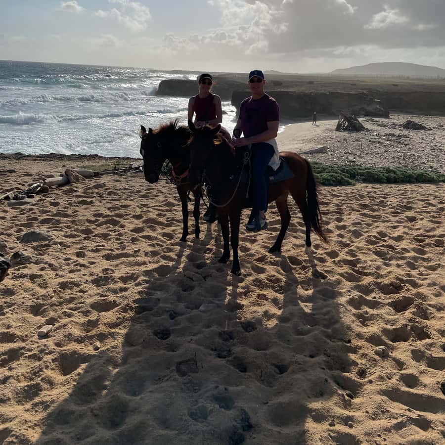 Horse On Beach Aruba Tour Natural Pools + Horseback Riding In Aruba