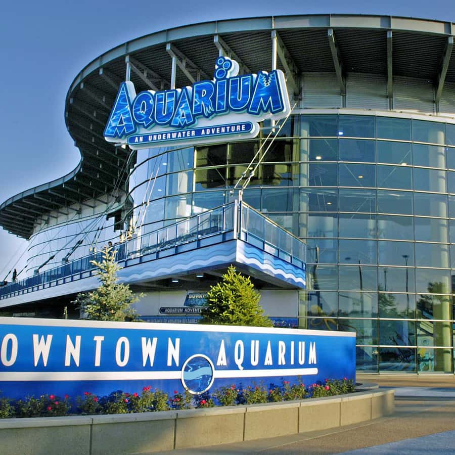 Denver: Downtown Aquarium All-Day Pass | GetYourGuide