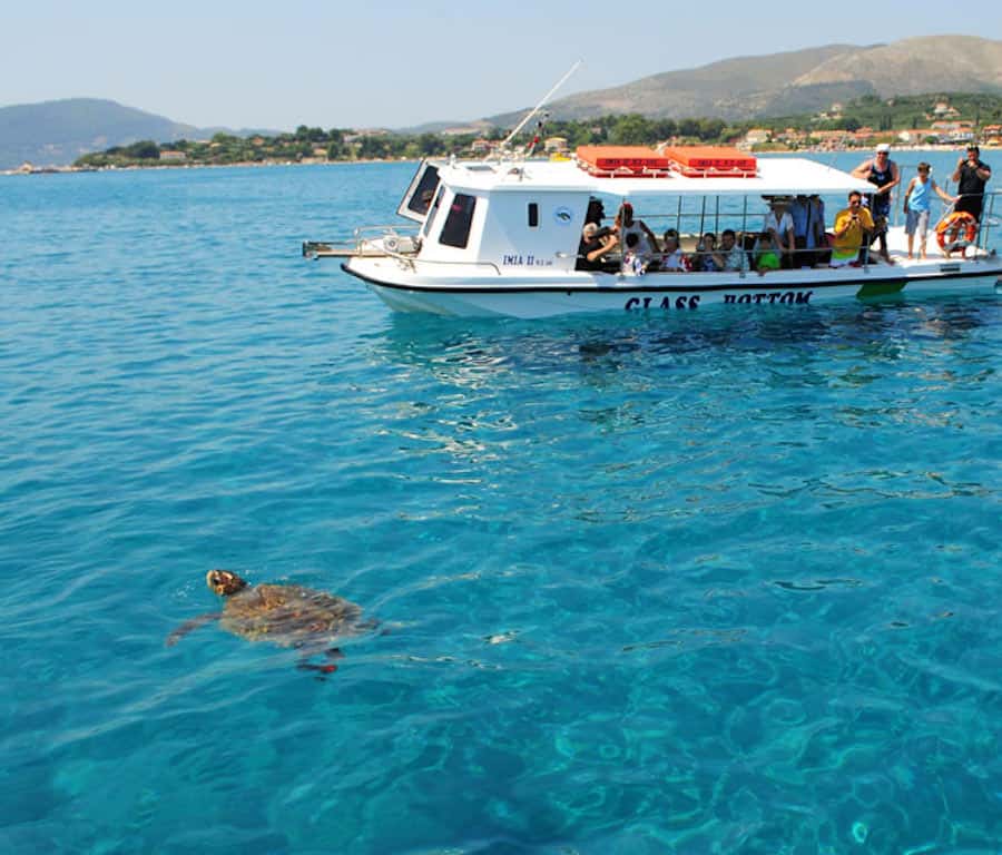 Laganas Zakynthos: Marathonissi, Grotten van Keri en Schildpadden Spot ...