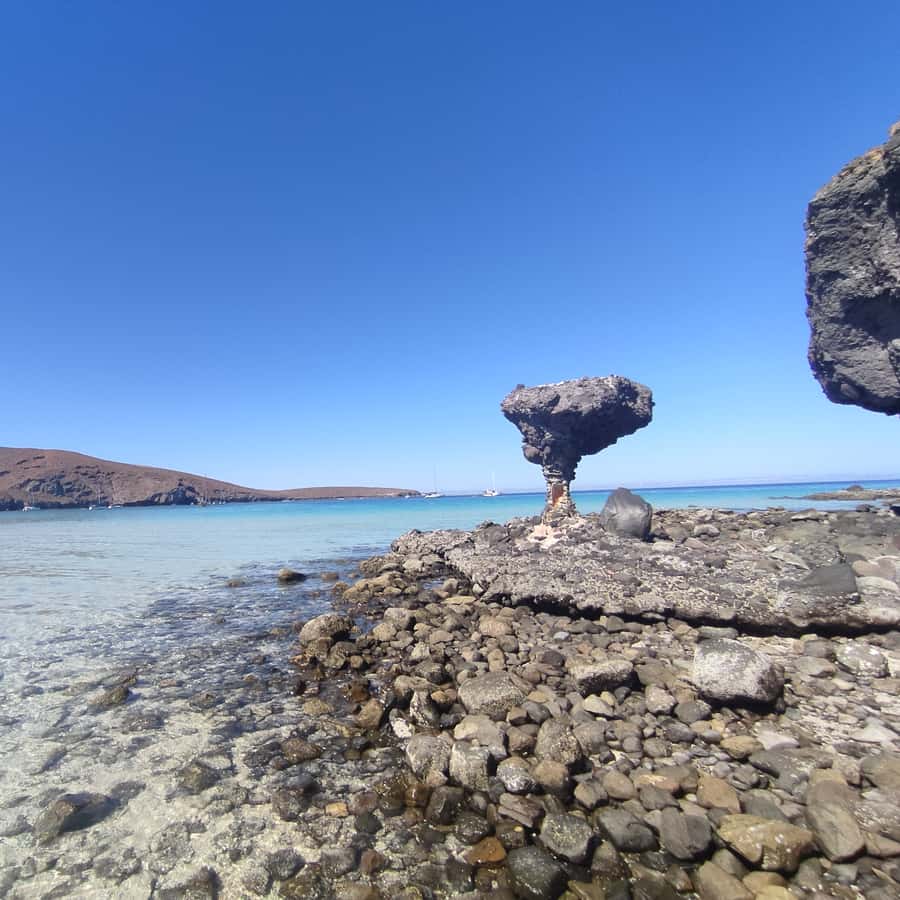 Cabo San Lucas: Balandra Beach and City Tour | GetYourGuide