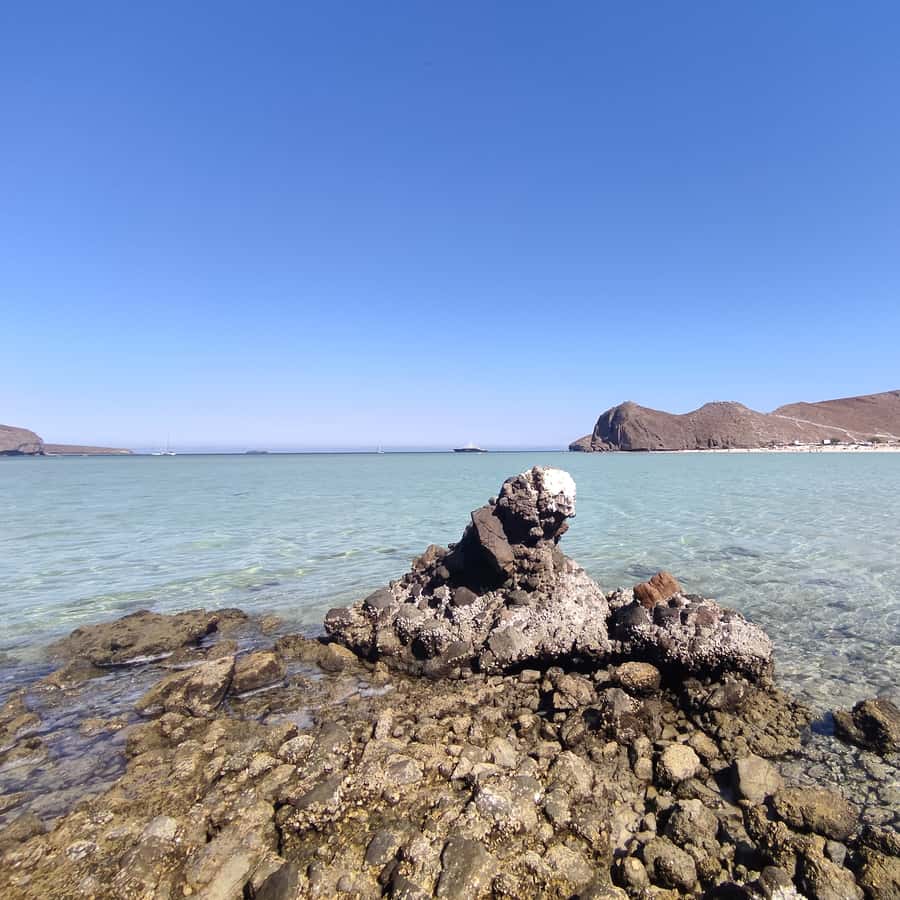 Cabo San Lucas: Balandra Beach and City Tour | GetYourGuide