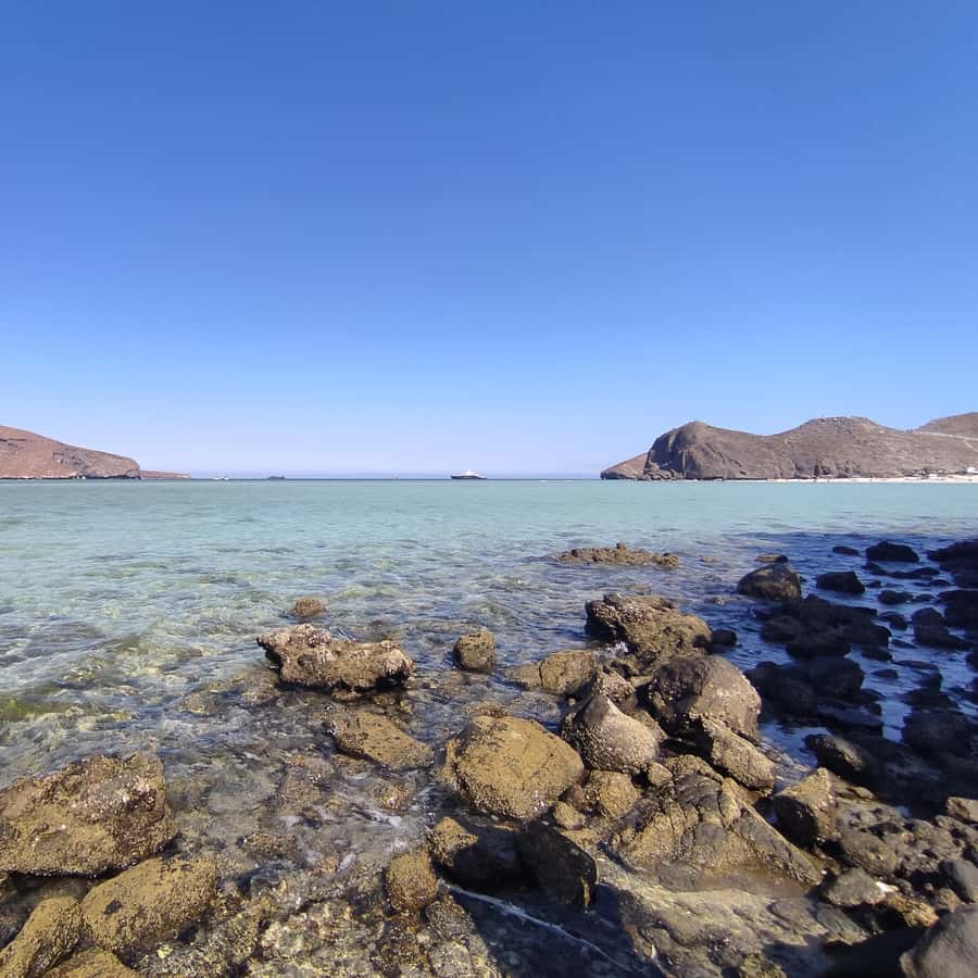 Cabo San Lucas: Balandra Beach and City Tour | GetYourGuide