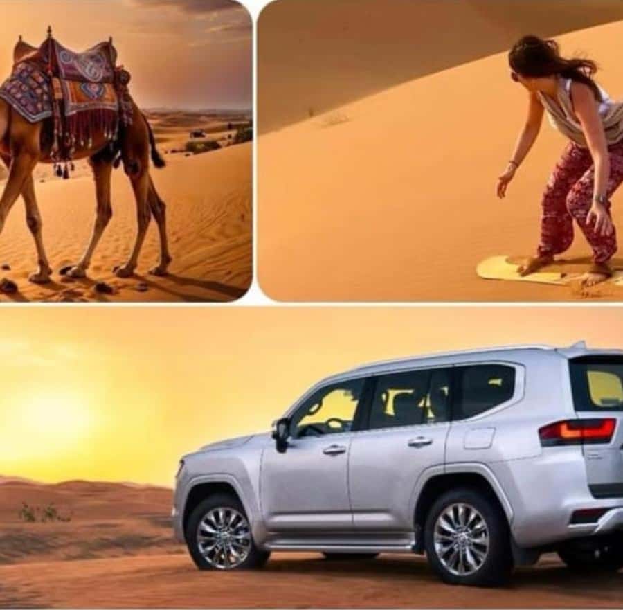 Deserto del Qatar: safari tra le dune, spiaggia e sandboard | GetYourGuide