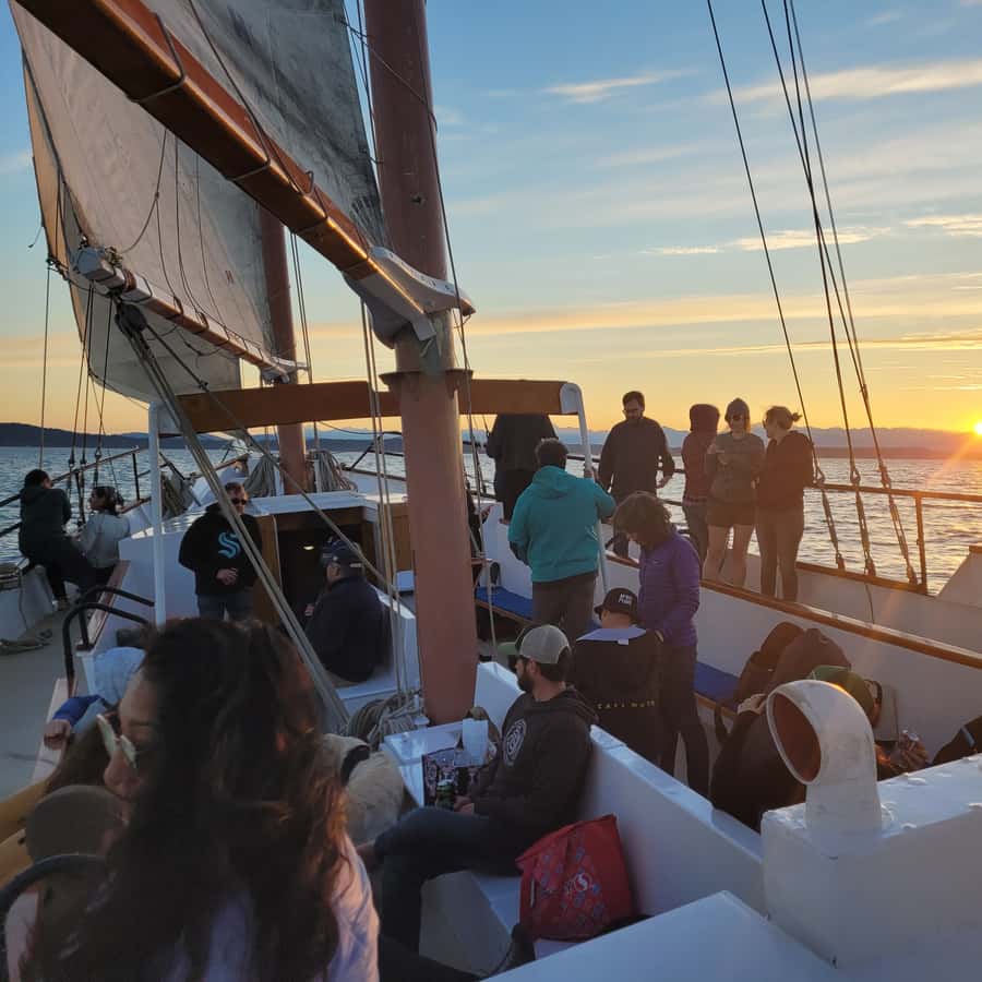 Seattle: Tall Ship Harbor Cruise | GetYourGuide