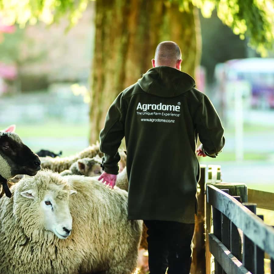 Rotorua: Authentic Kiwi Farm Experience at the Agrodome | GetYourGuide