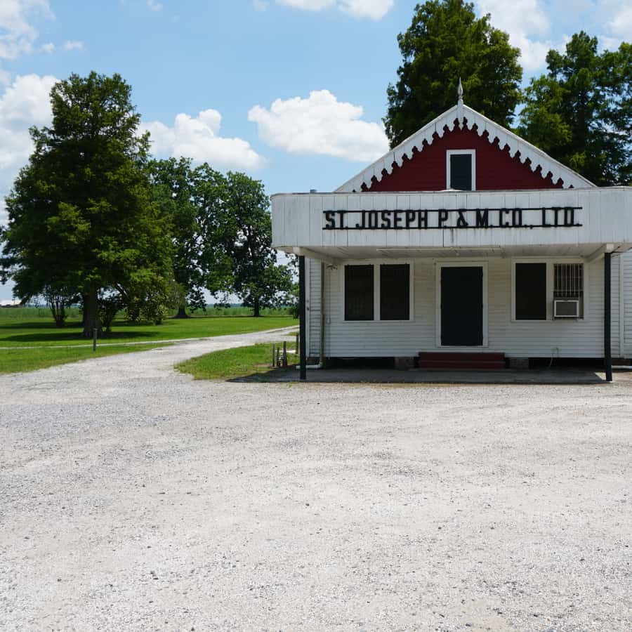 New Orleans: Felicity Plantation Guided Tour | GetYourGuide