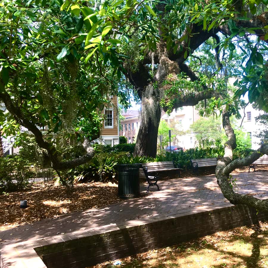 Savannah: Highlights & Hidden Gems Guided Walking Tour | GetYourGuide