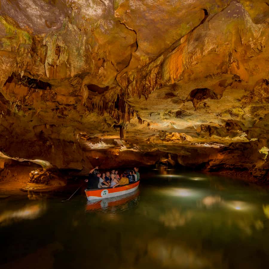 From Valencia: Caves of San José Guided Tour & Boat Ride | GetYourGuide