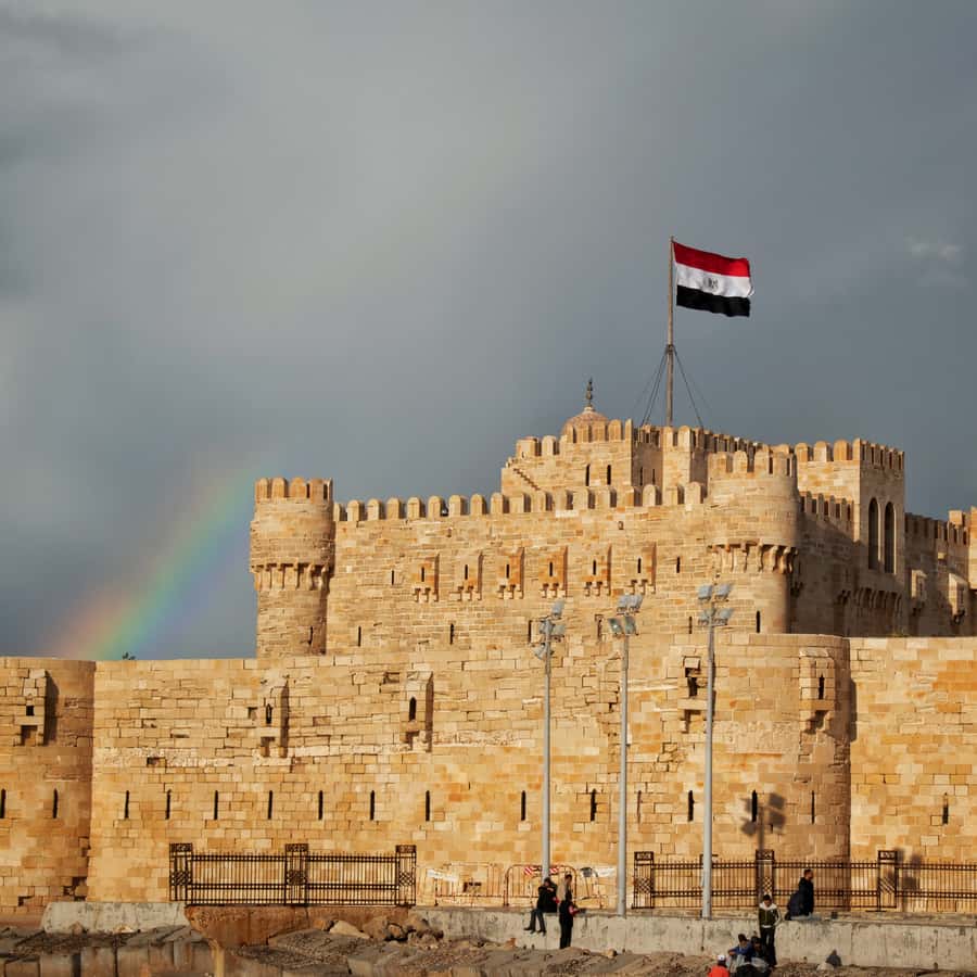 From Alexandria: Highlights of Alexandria Full City Tour | GetYourGuide