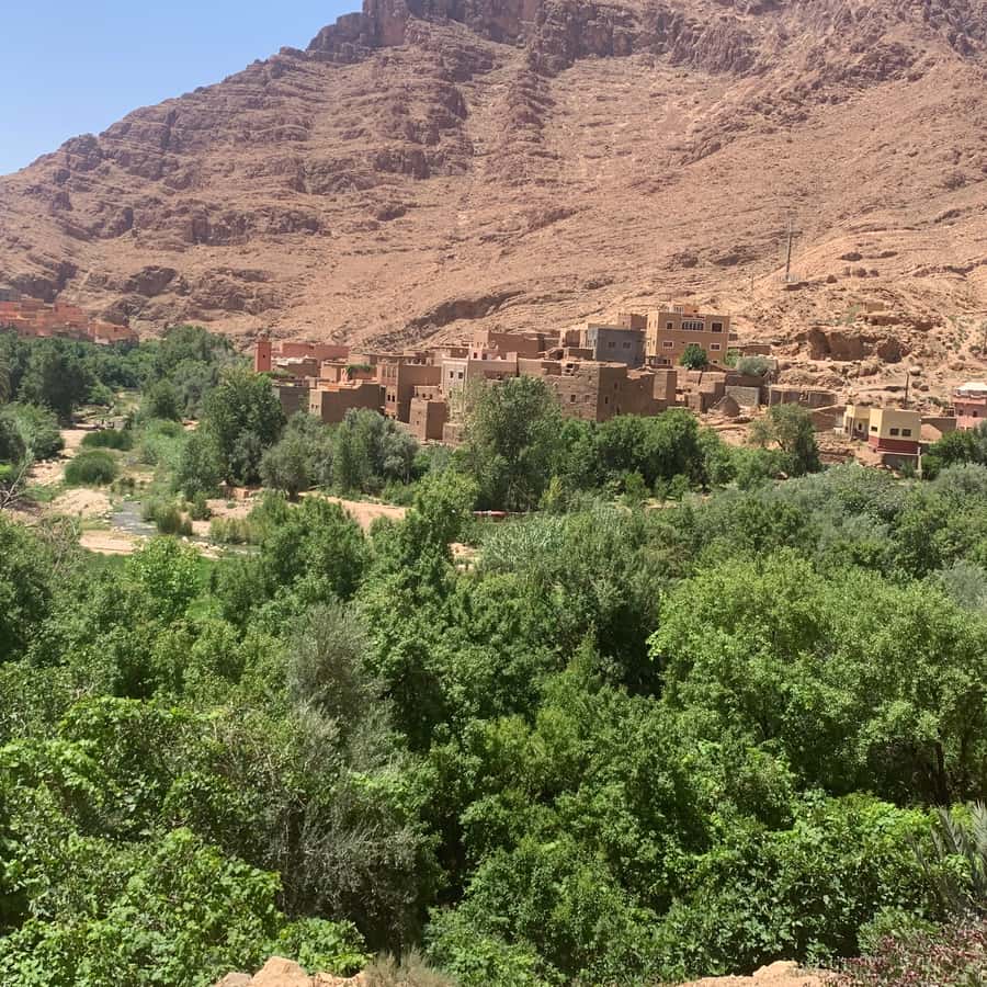 Viagem de 1 dia às Montanhas do Atlas e aos Três Vales a partir de ...