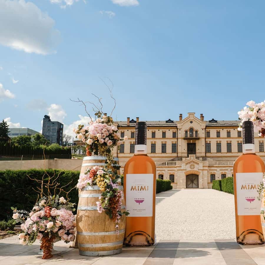 Chișinău & Castel Mimi Wine Tour – With Wooden Monastery | GetYourGuide