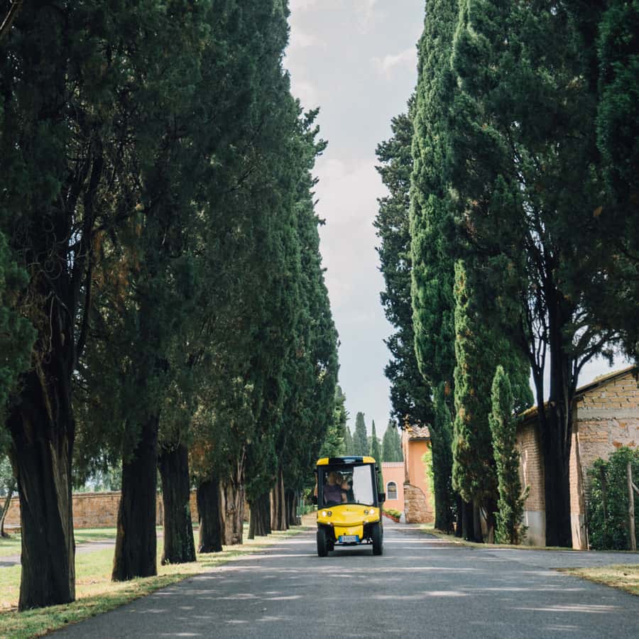 Rome: Appian Way Golf Cart Tour with Roman Catacombs Entry | GetYourGuide