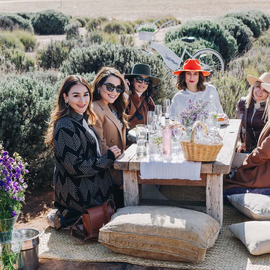 Picnic Lavender Fields @ Aires de Lavanda Valle de Guadalupe | GetYourGuide