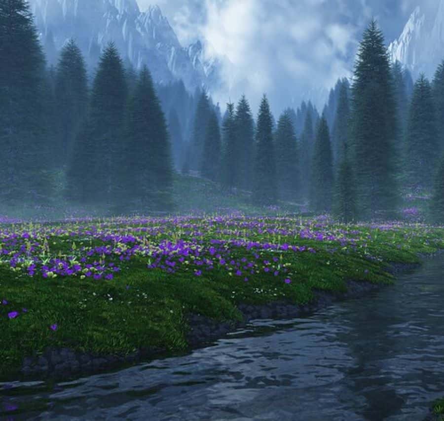 From Seattle: Twilight Forks Washington Tour | GetYourGuide