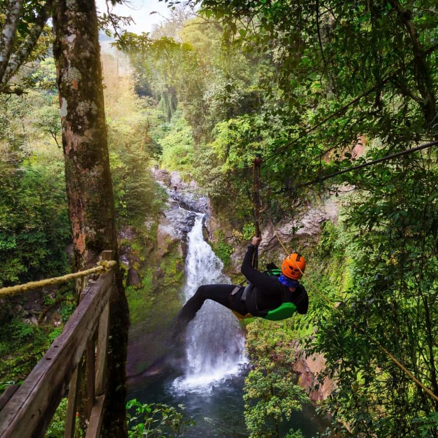 Punta Cana : aventure en buggy et tyrolienne avec prise en charge à l'hôtel | GetYourGuide