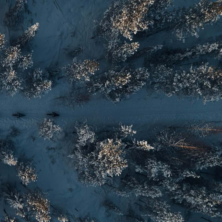 Levi: avventura in e-fatbike alla ricerca dell'aurora boreale ...
