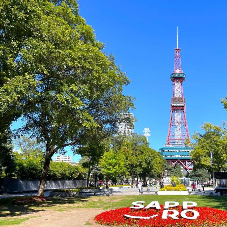 Sapporo: Buda Tepesi, TV Kulesi ve Sake Standı Bar Turu | GetYourGuide