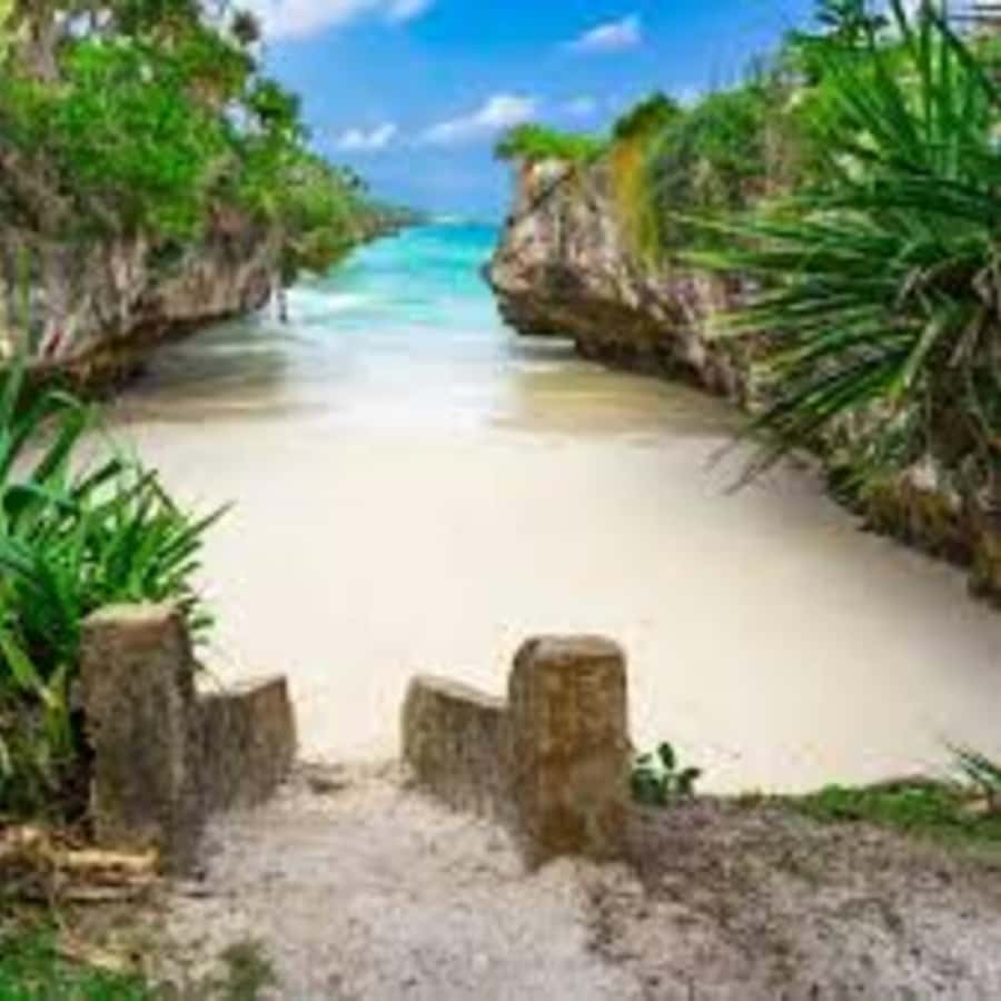 Zanzibar : randonnée dans la forêt de Masingini et excursion en kayak ...