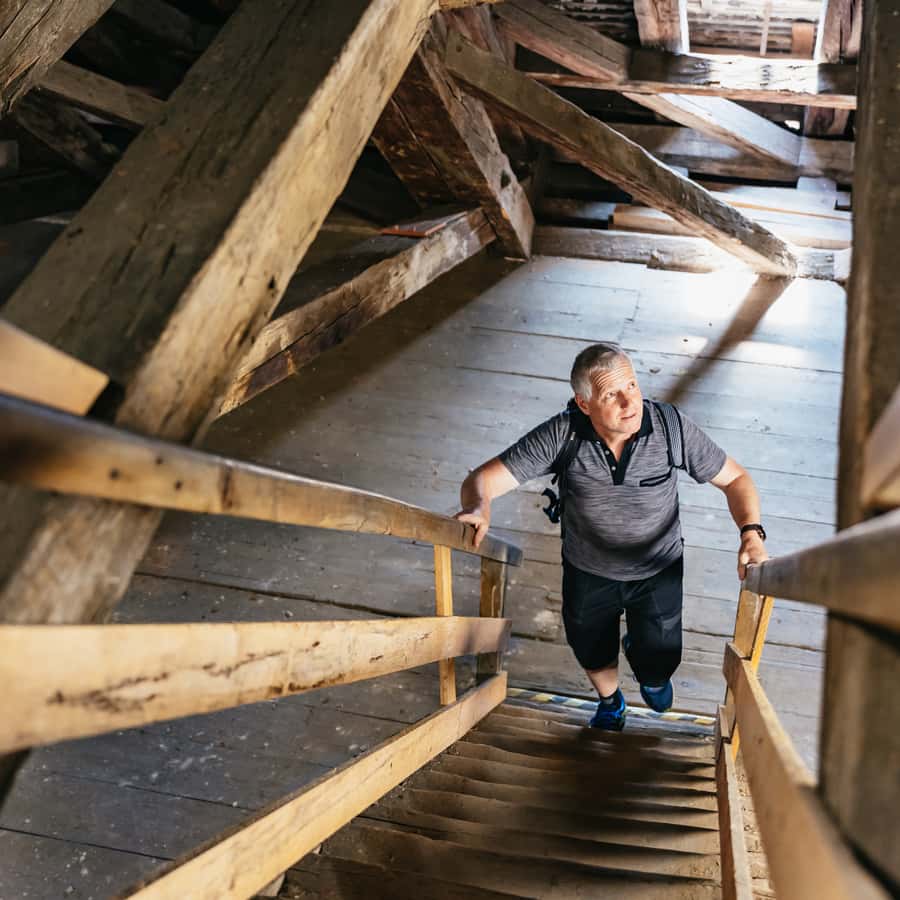 Vienna: Spanish Riding School Stables Guided Tour | GetYourGuide