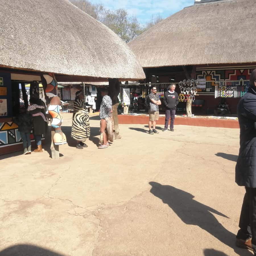 Jhb:Cradle Of Humankind, Lion Park & Lesedi Cultural Village | GetYourGuide