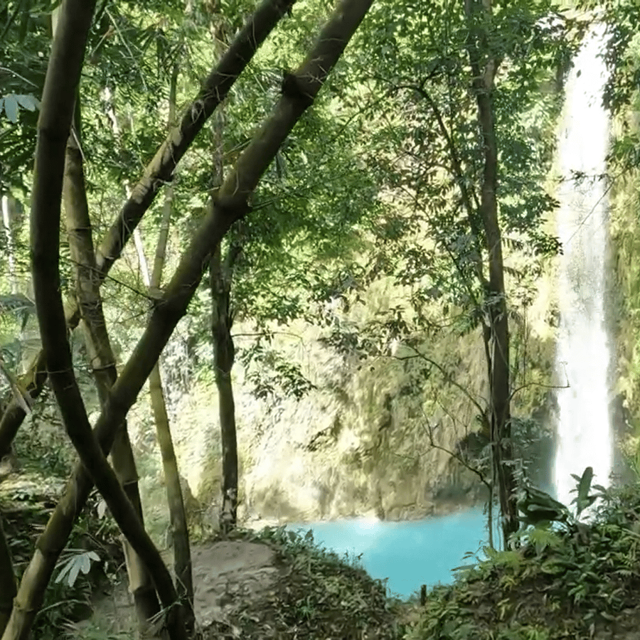 Cebu: Inambakan, Kawasan, and Mantayupan Falls Day Trip | GetYourGuide