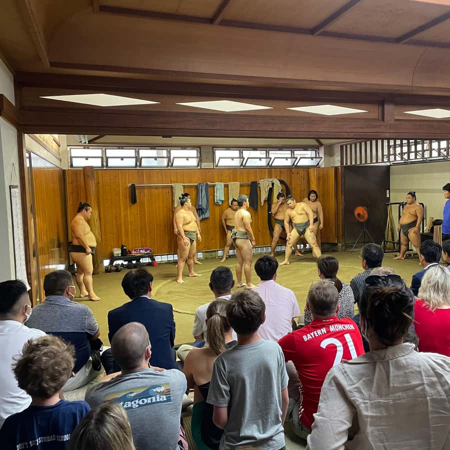 Expérience de lutte sumo avec combat et défi | GetYourGuide