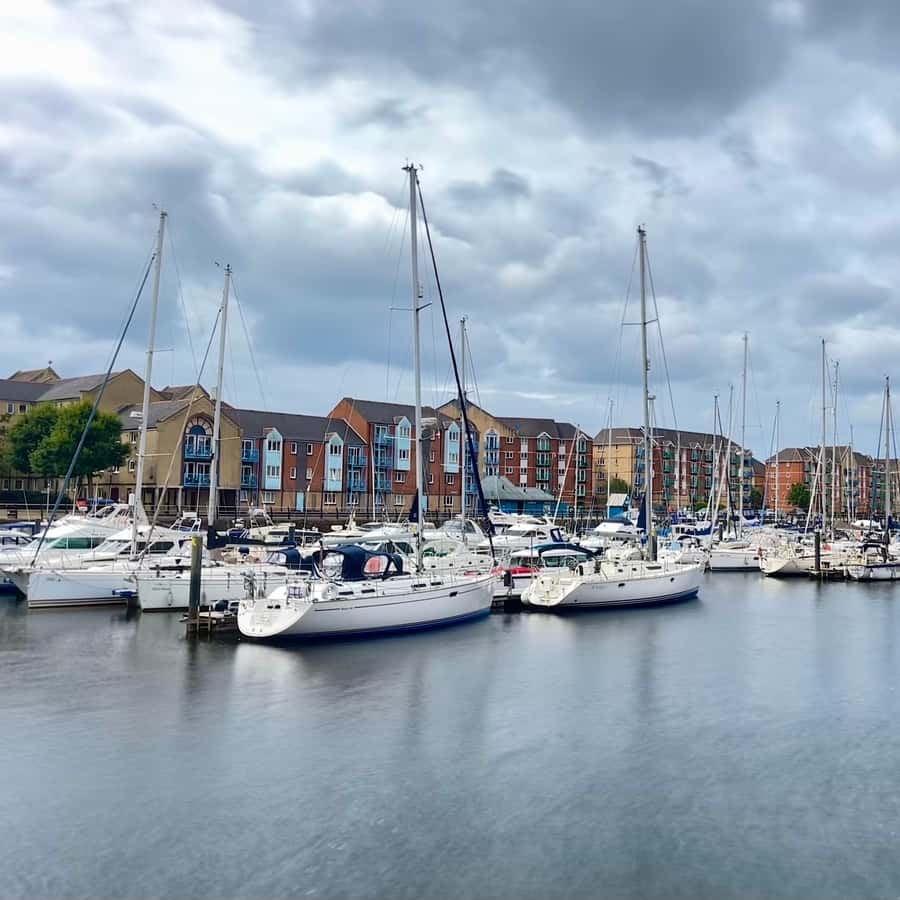 Cardiff: Gower Peninsula's Cliffs & Bays Scenic Day Tour | GetYourGuide